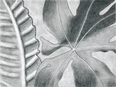Nuncketest: Middle Tone Drawing Complete