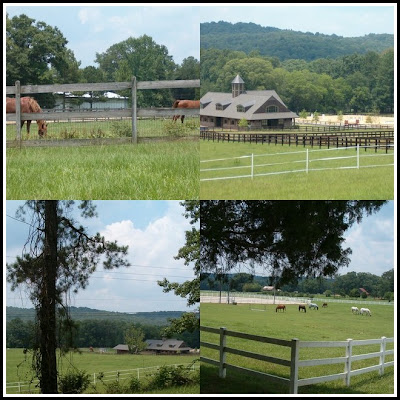 Horse Farms & Alabama Countryside - Southern Hospitality