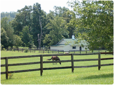Horse Farms & Alabama Countryside - Southern Hospitality