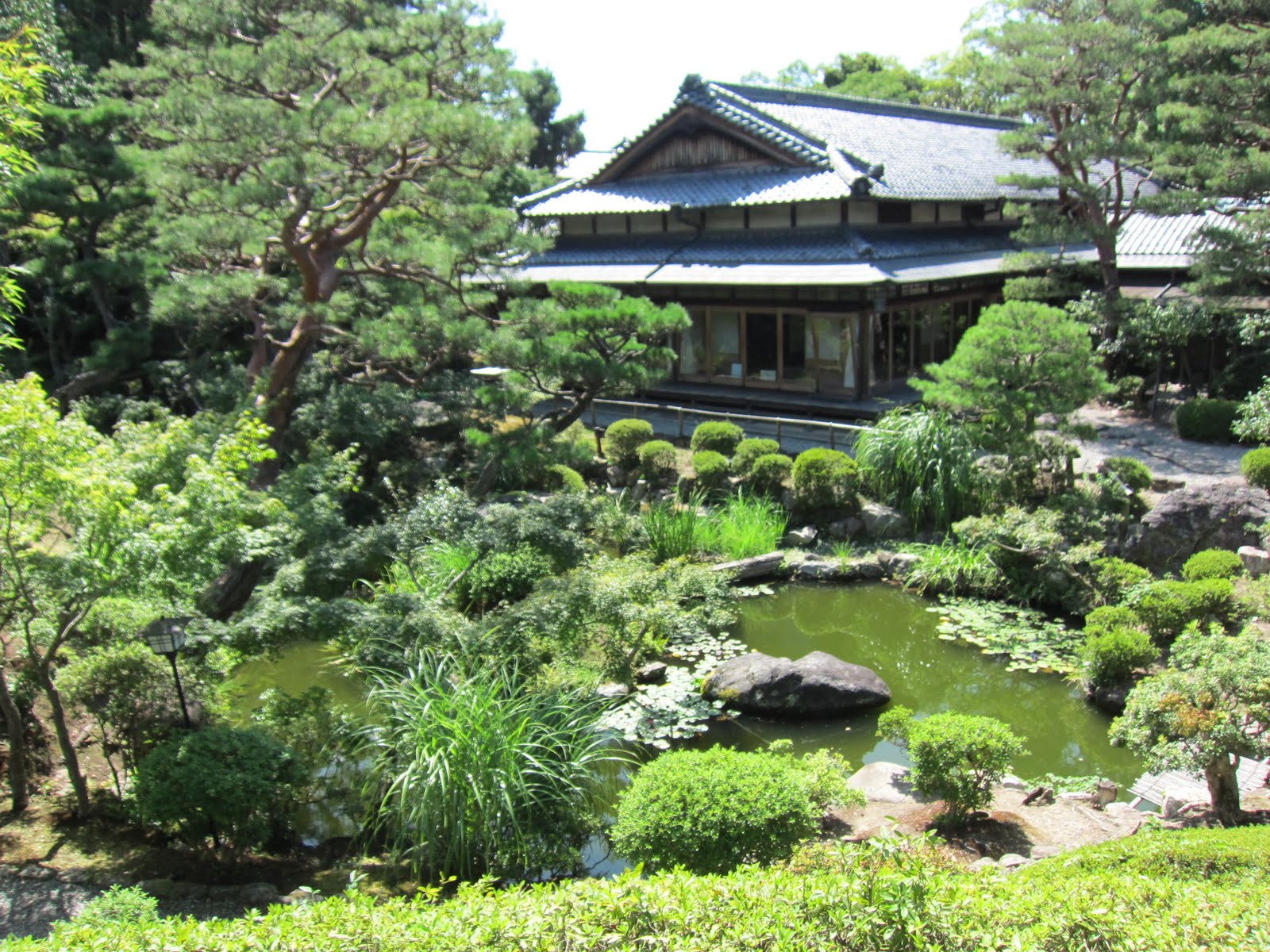 Where Is Darren Now?: Nara Japan