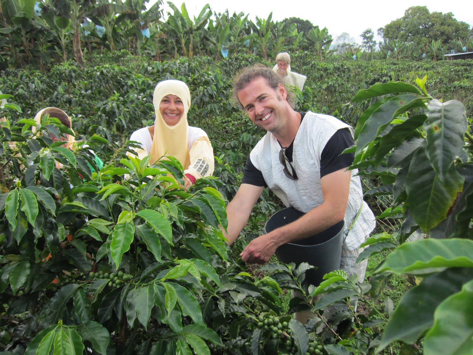 14+ Coffee Farm Tour