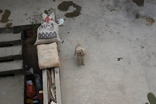 *REGISTROS DE LA IMAGEN*: ANGULO EN PICADA