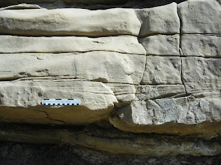 The Dynamic Earth: Swaley Cross-Stratification Solidarity