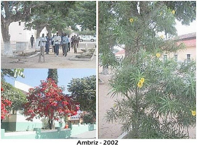 Norte de Angola 68-70: AMBRIZ