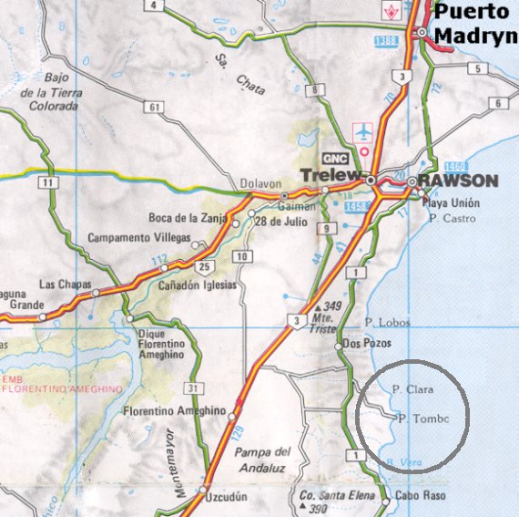 Recorriendo Puerto Madryn...: Punta Tombo