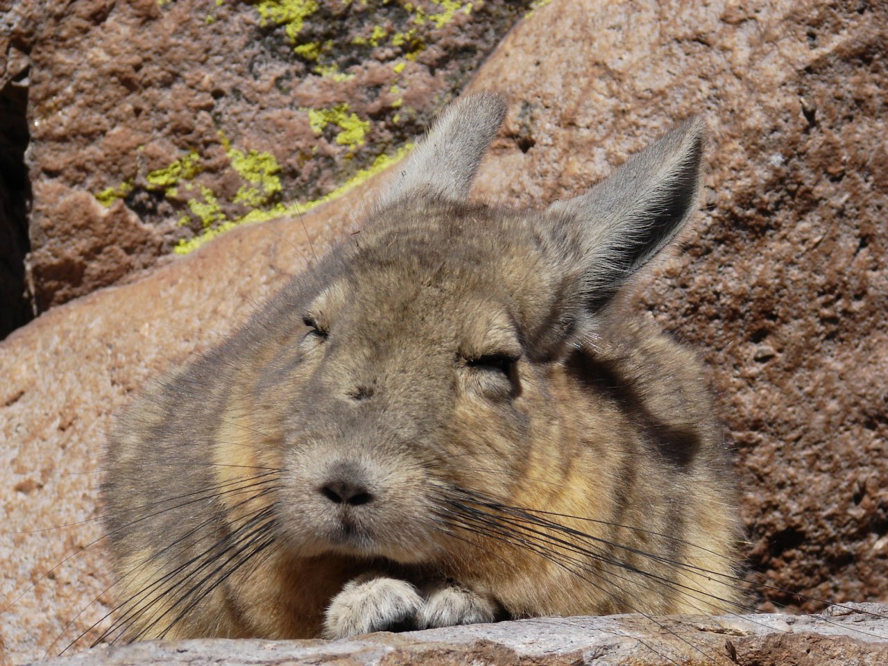 LA RIQUEZA DE NUESTRA REGION LA LIBERTAD