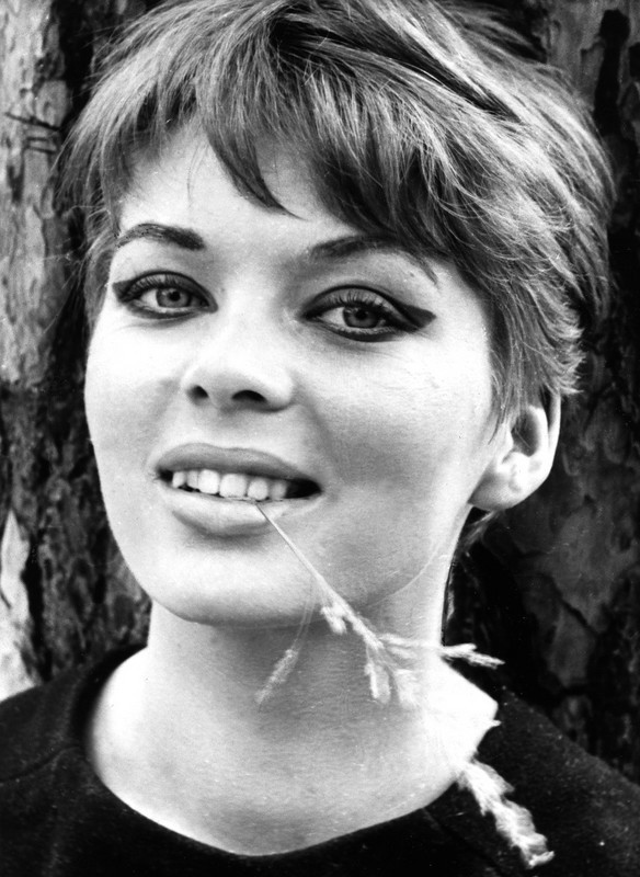 Somebody Stole My Thunder: Superstar - Nico