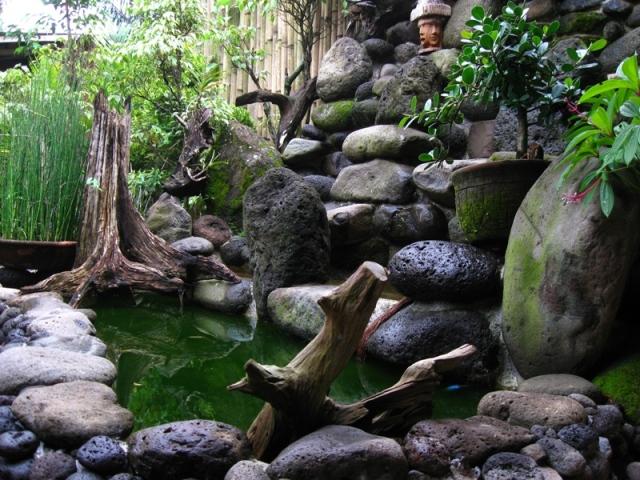 Bukidnon Photo Journal: Raftsman Food and Drinks-Pangantucan, Bukidnon