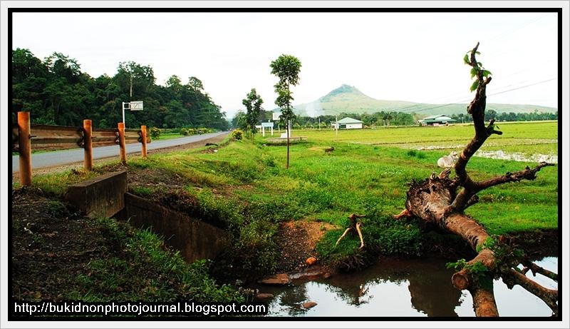 Bukidnon Photo Journal: Musuan Peak
