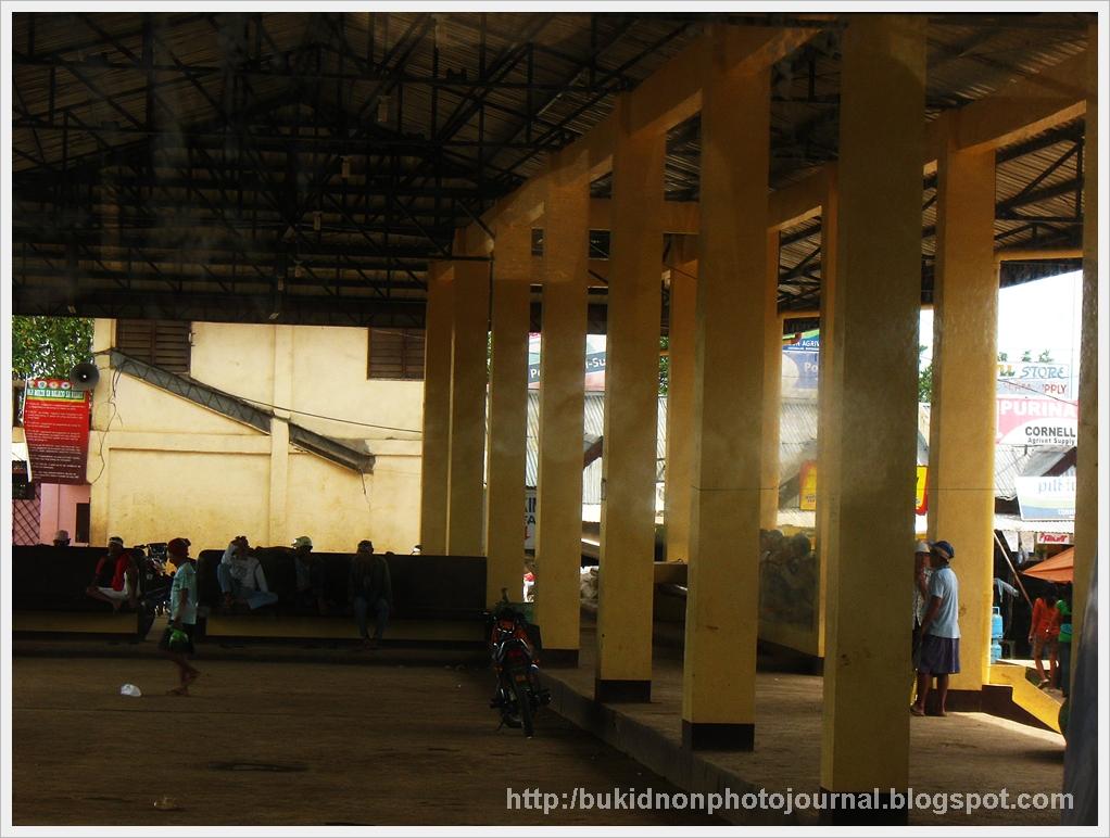 Bukidnon Photo Journal: Random Shots: Kadingilan, Bukidnon