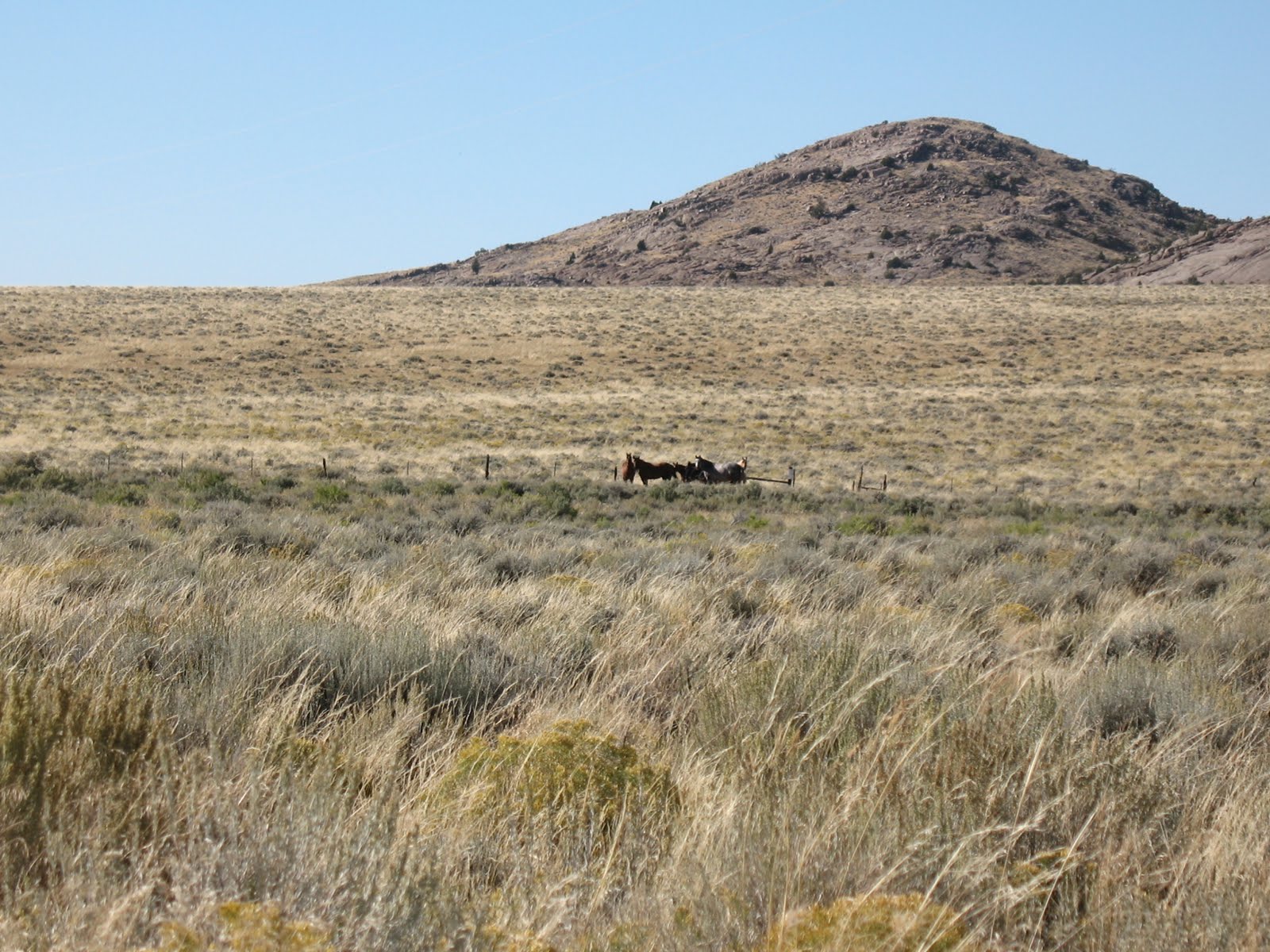 Doing It On The Road(Part II): Sweetwater Station, Bull Canyon, and ...