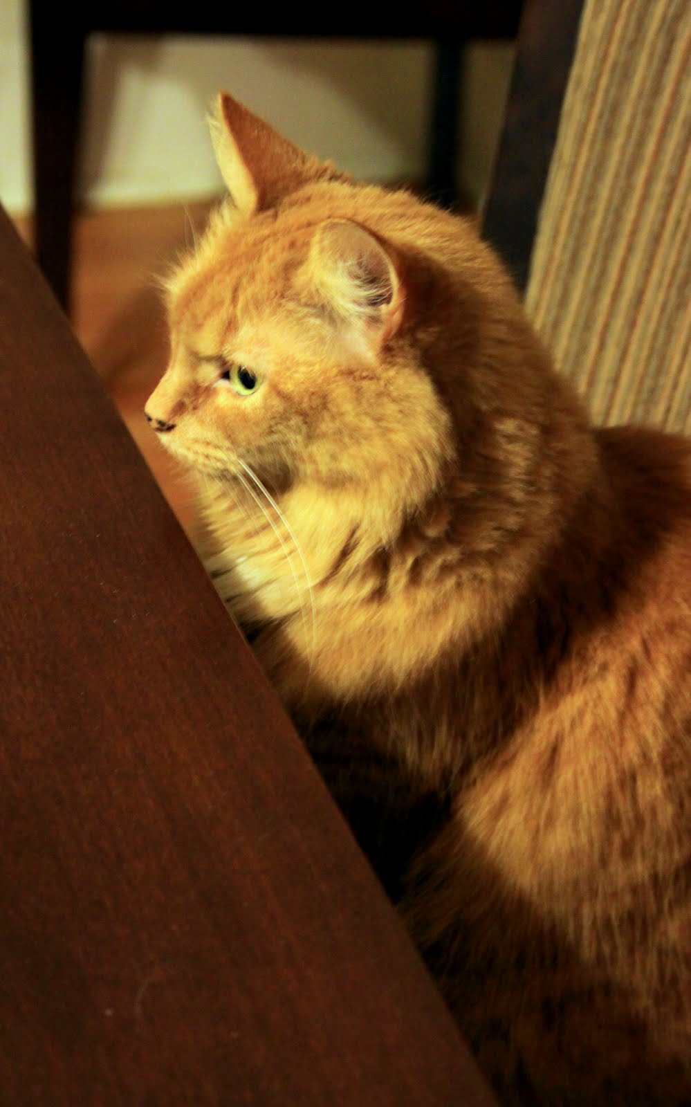 Pusooy Games Solutions