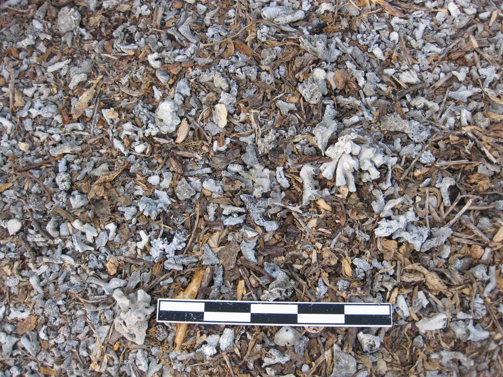 Amelia Earhart Archaeology: Nikumaroro: Challenges to Doing Archaeology - 3