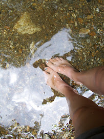 Simply....: A homemade rainforest