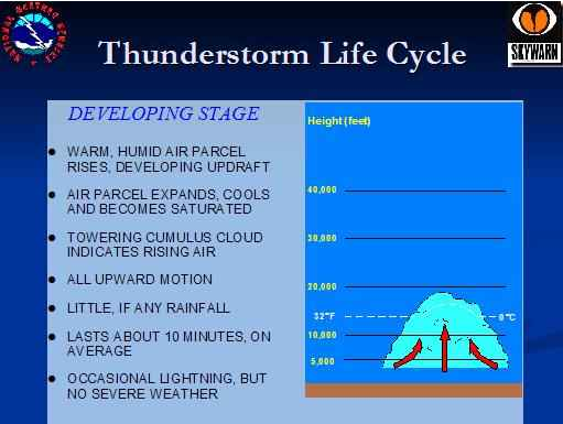Thunderstorm Lifecycle