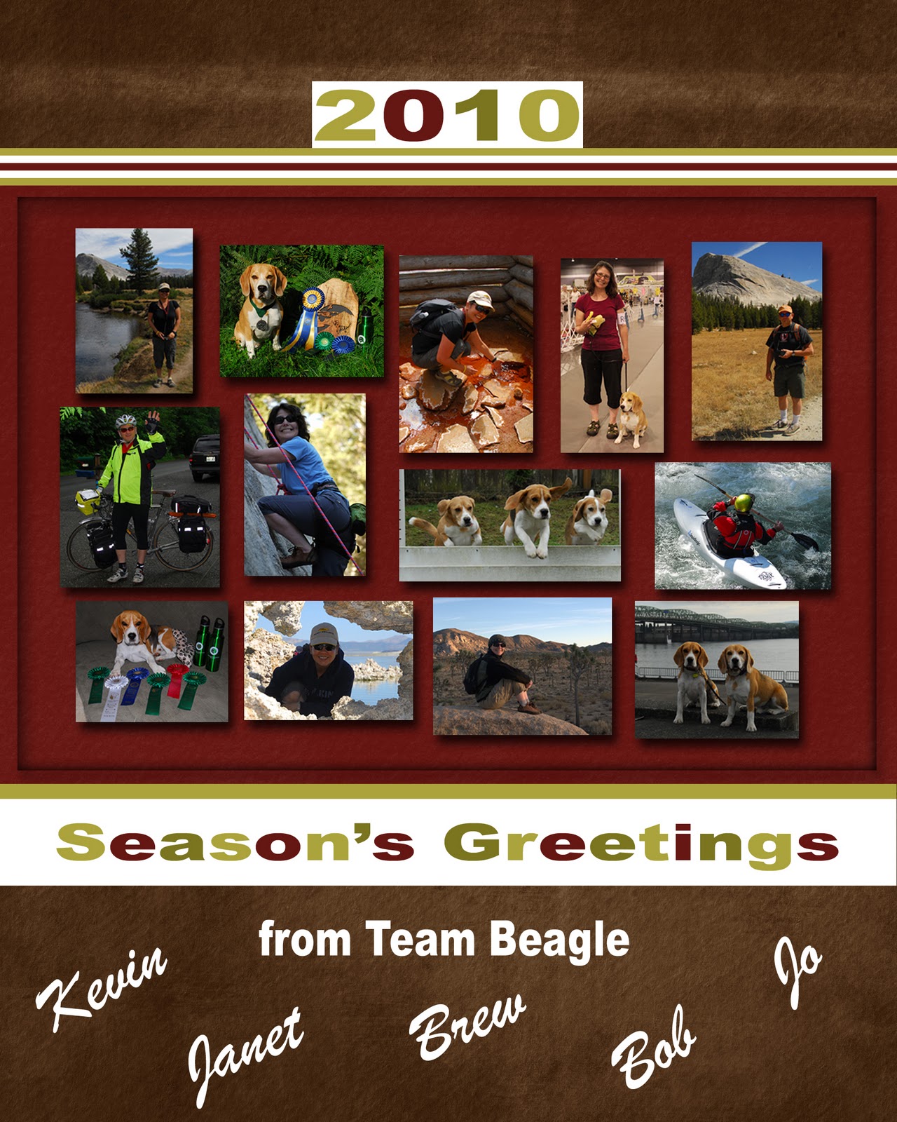 Team Beagle: 2010