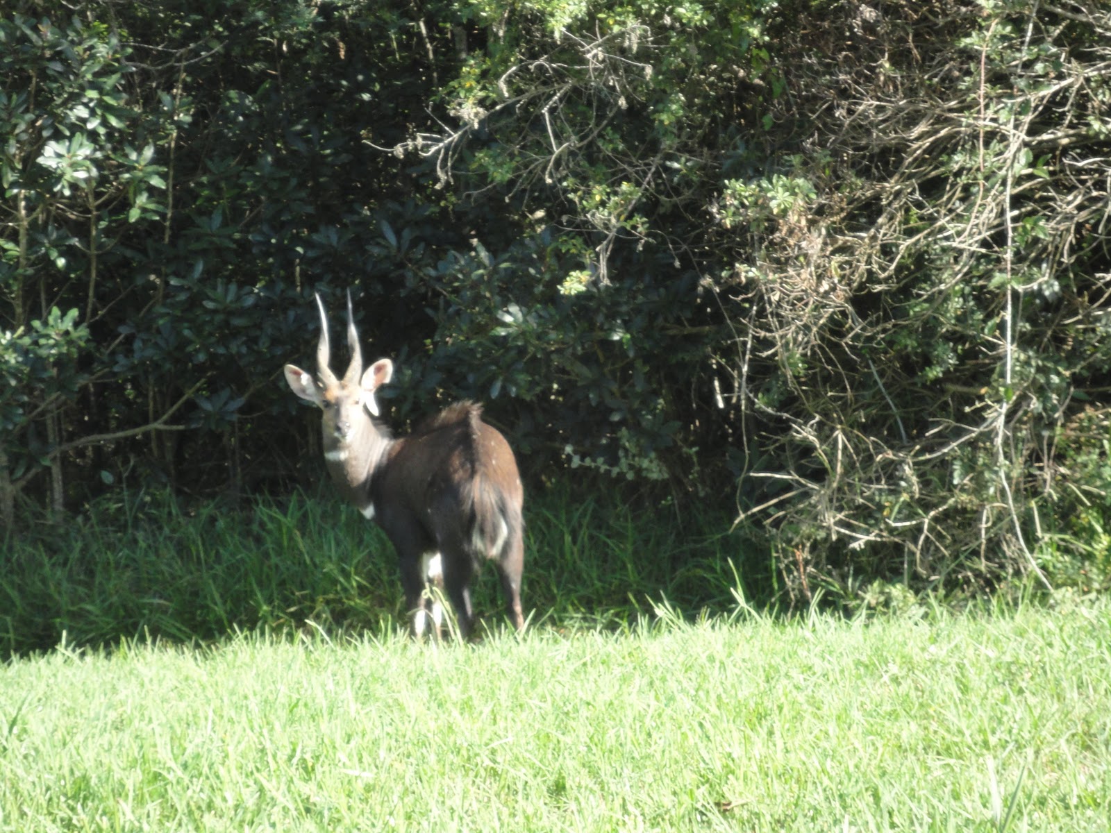 Steffi goes Eikestad: Garden Route