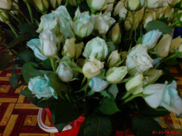 Nurfisza-Florist: Ros Biru to My Sepang Customer