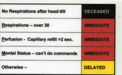 Thinking Out Loud: RPM - The acronym to remember in triage