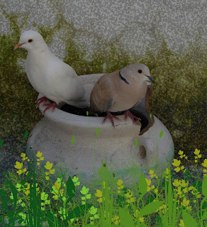 Holasoyrosy: Palomas Habaneras