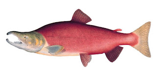 Alaska Offers for Alaska Cruises and Tours!