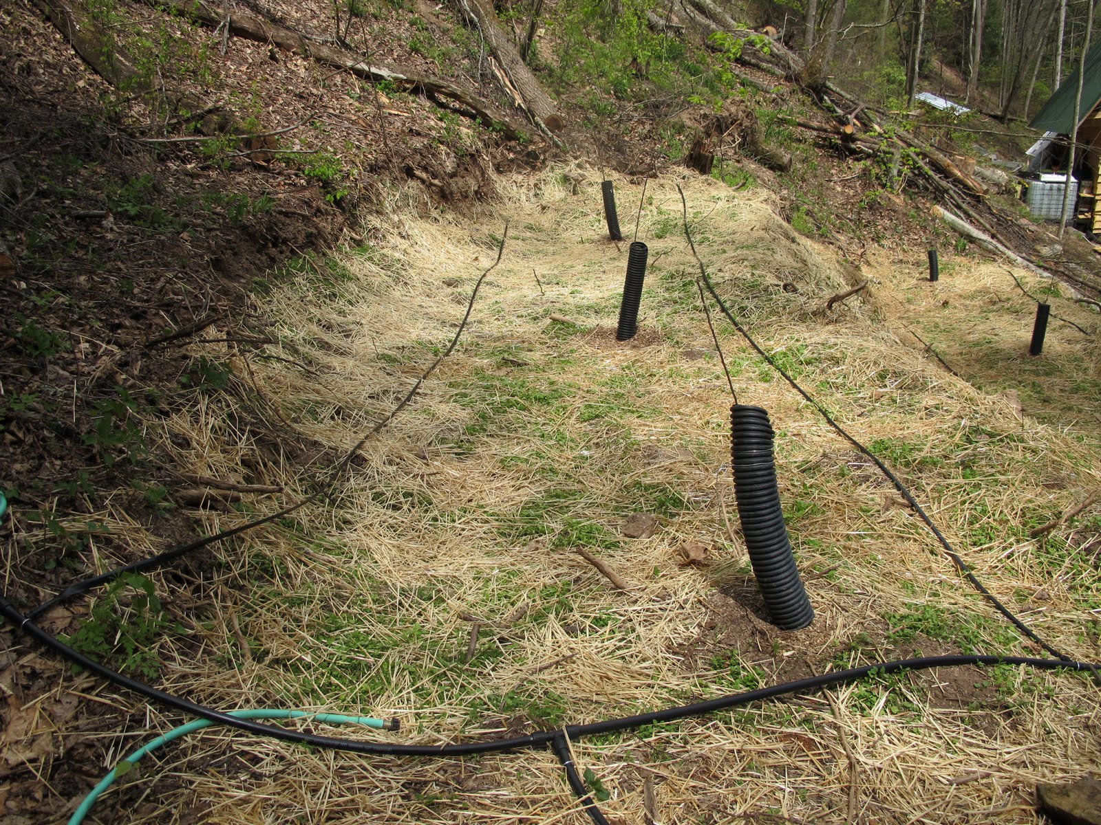 The Evolution of a Sustainable Farm: Upper terrace irrigation