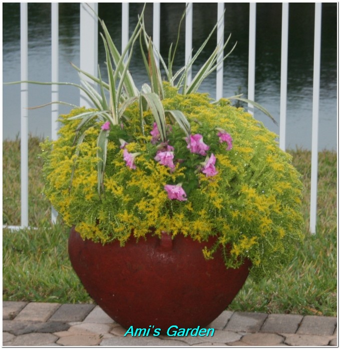 Southeast Florida Garden Evolvement: Spring Garden Progress