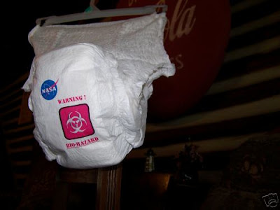 a boy and his blog: Lisa Nowak's NASA astronaut diaper on Ebay