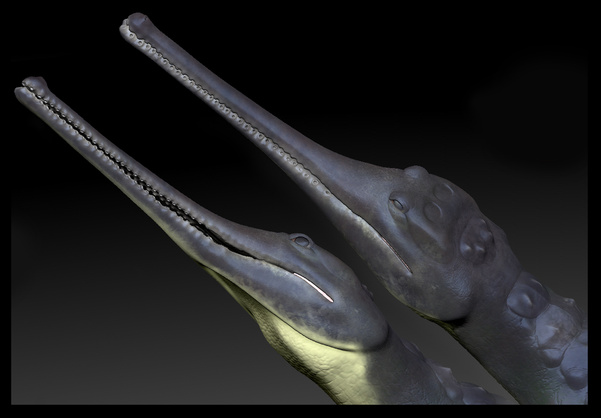 Digital Thoracosaurus Production Blog: May 2010