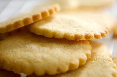 TheDish: vanilla snap biscuits