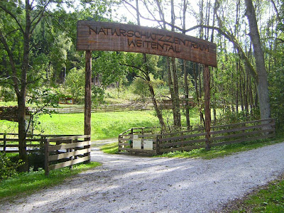 MOPS - TREFF - ORTE: WEITENTAL - Bruck/Mur