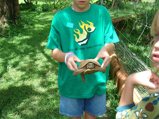 The Cooks in Zambia: Kalimba Farms