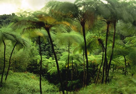 Natural Environment in the world