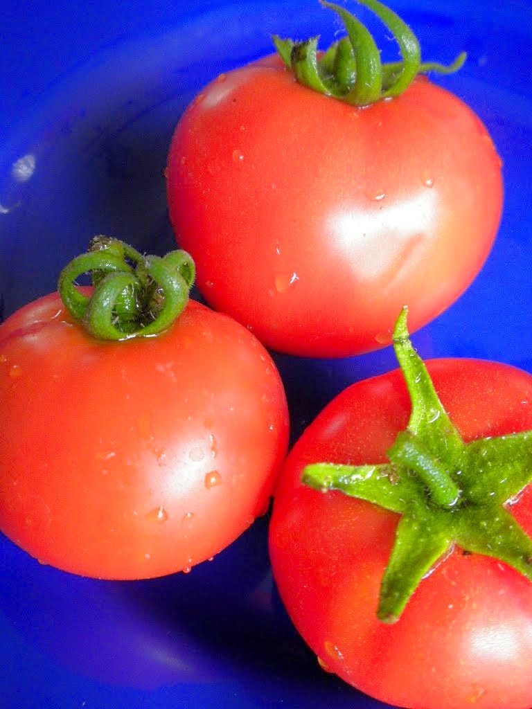 r L n -- really LOVE now! : The PARABLE of the TEN Tomatoes