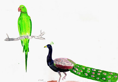 Jijis Chitrakala: Peacock & parrot