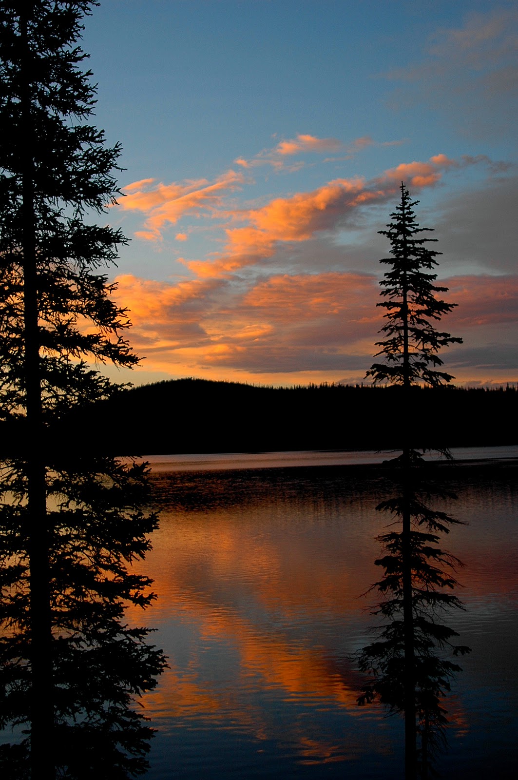 Michele's Nature Blog: November 2010