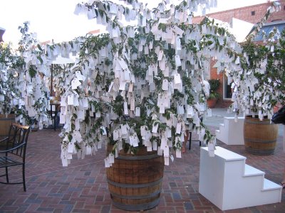 tazzina-di-caffè: Wish Tree.