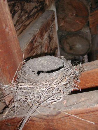 Where He Leads Me I Will Follow: The YWAM Colorado at Cimarron Root Cellar