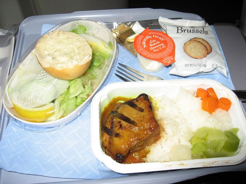Keyo's Odyssey: Continental Airplane food