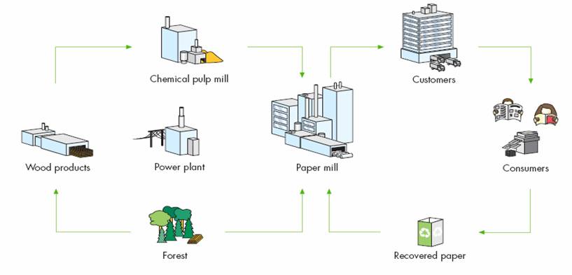 Sustainable Paper and Print: Ten Ways to "Green" your Paper