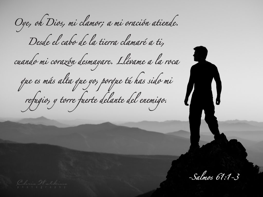 PARA EL REY DE REYES: BUSCANDO A DIOS