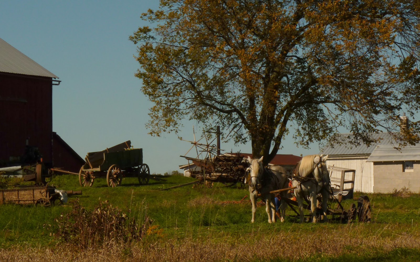 The Pine River Review: An Amish Barn