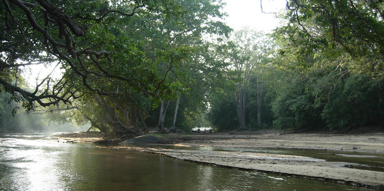tour in srilanka: Kumana National Park