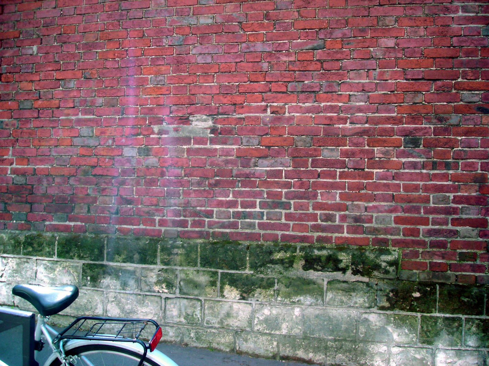 stéphanie perret: wall - paris- France