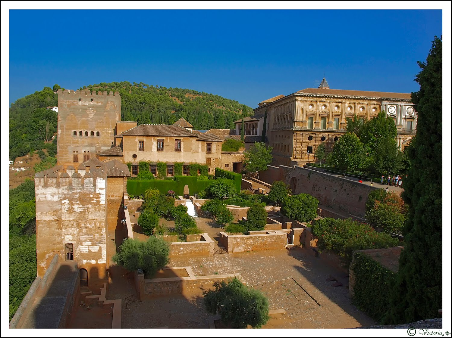 Fotografías en la Mancha: La Alhambra Granada