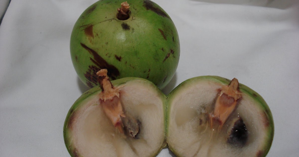 TEMAS DE GASTRONOMIA: El Caimito