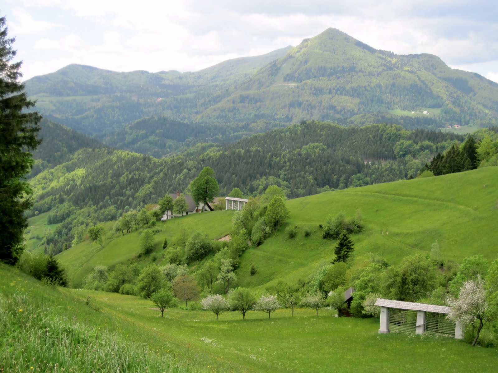 martha's vienna: Valley Views of Sorica and Zgornja Sorica, Slovenia