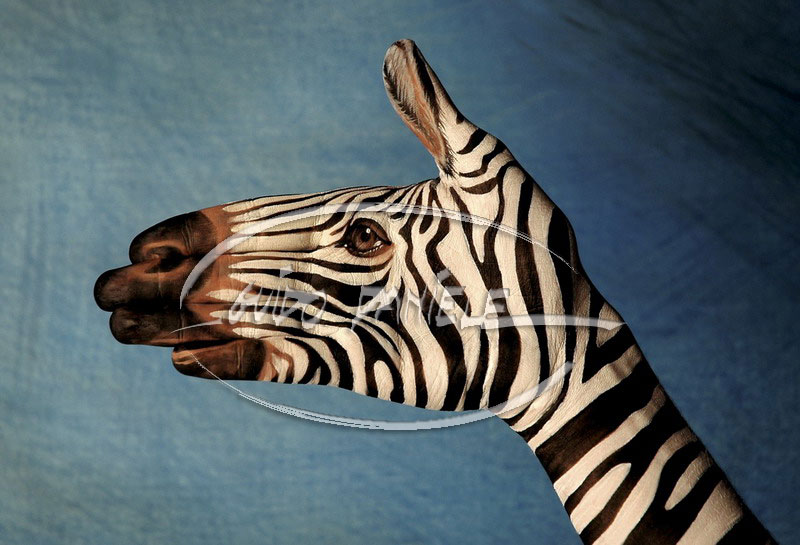 Lunatica Desnuda: Guido Daniele's Incredible Animal Hand Paints - Handimals