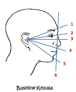 Twis's Blog: Landmark dan Baseline dalam Radiografi Skull