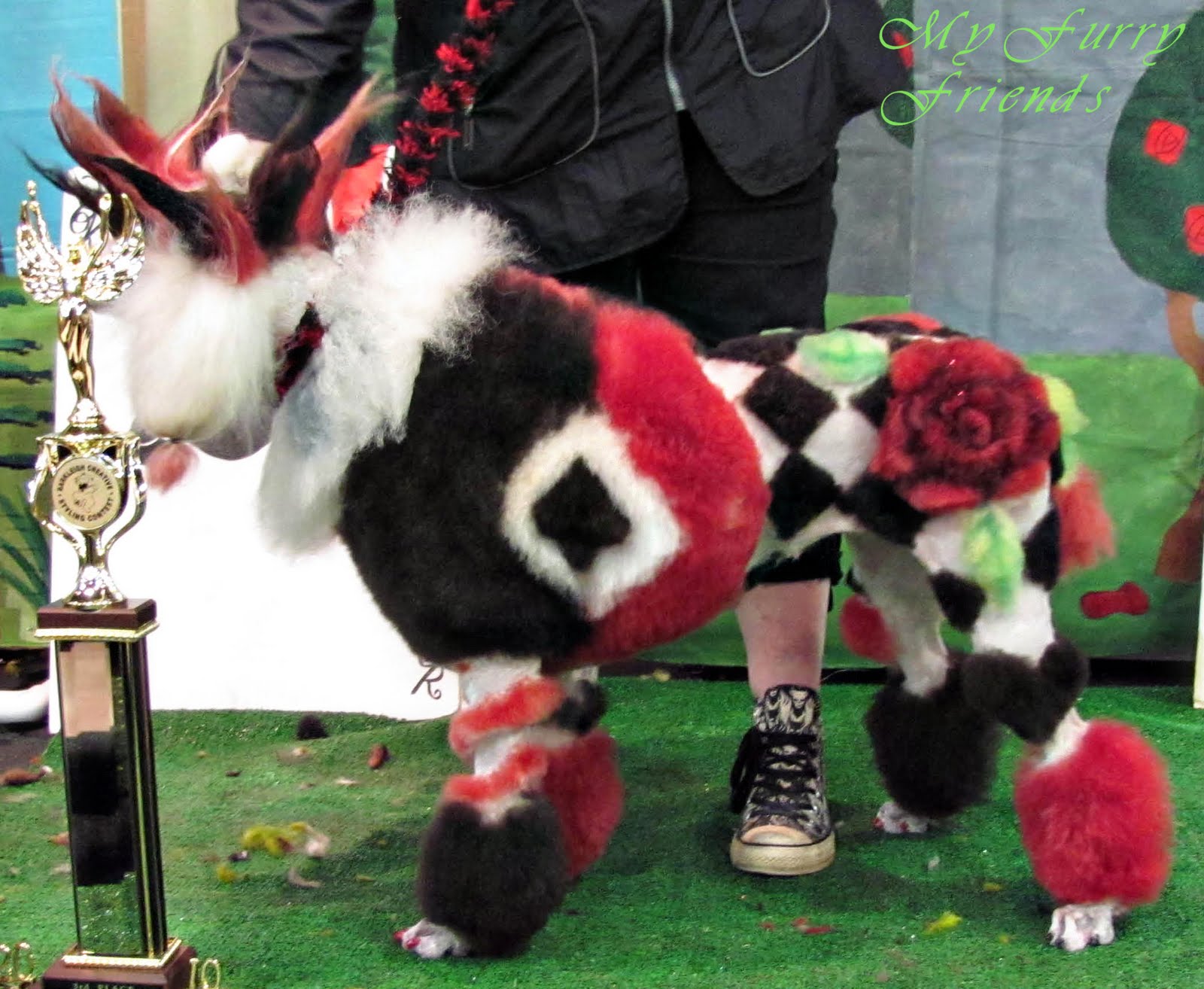 Pet Grooming: The Good, The Bad, & The Furry: Groom Expo Photos